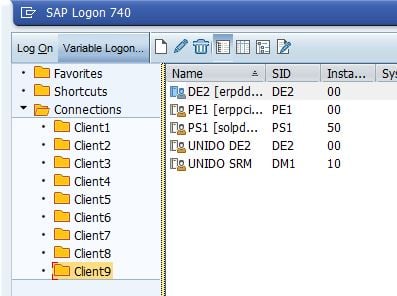 ¿Qué es SAP Logon?